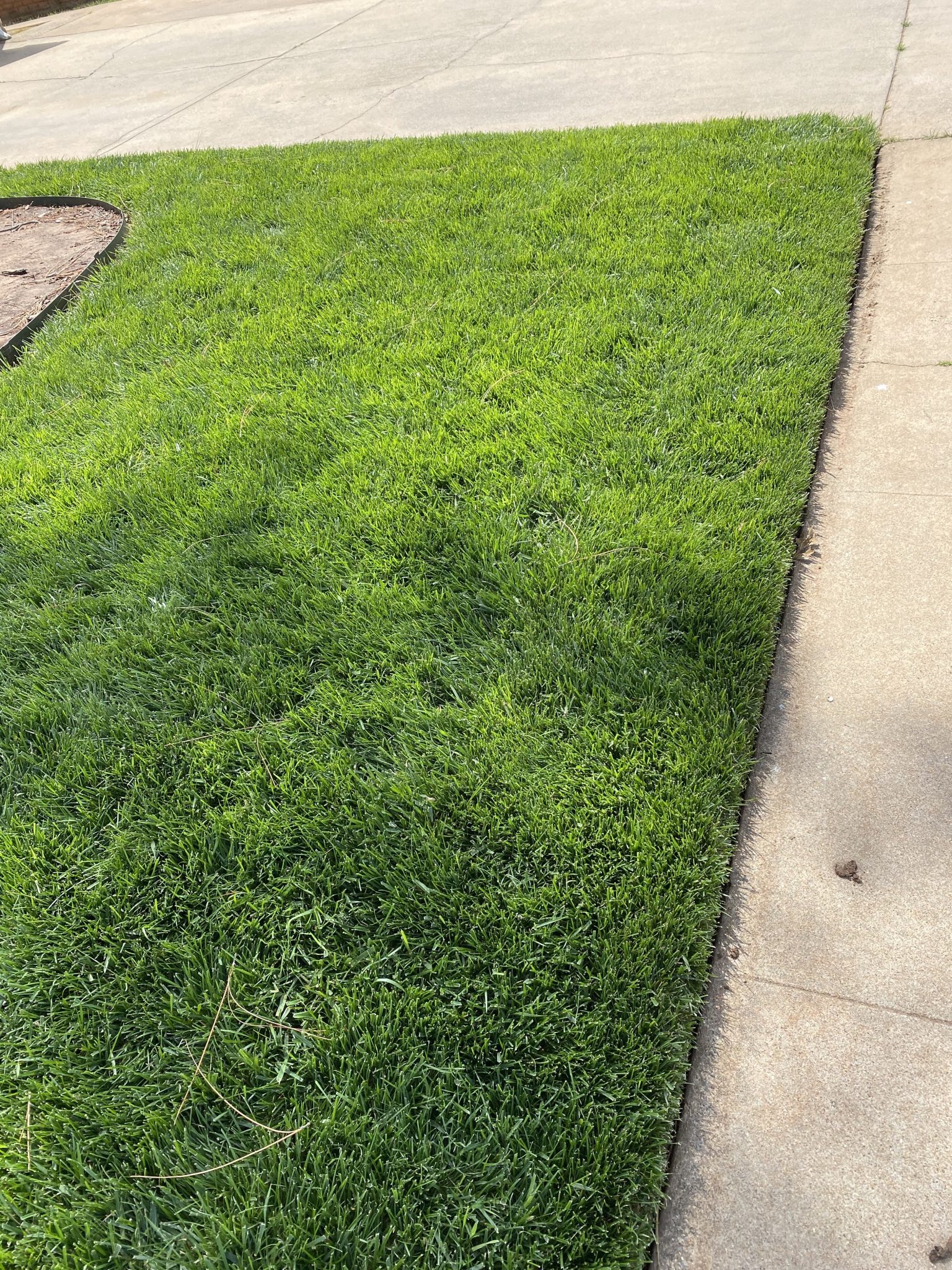 Longo Landscape | Landscape and Stone Design