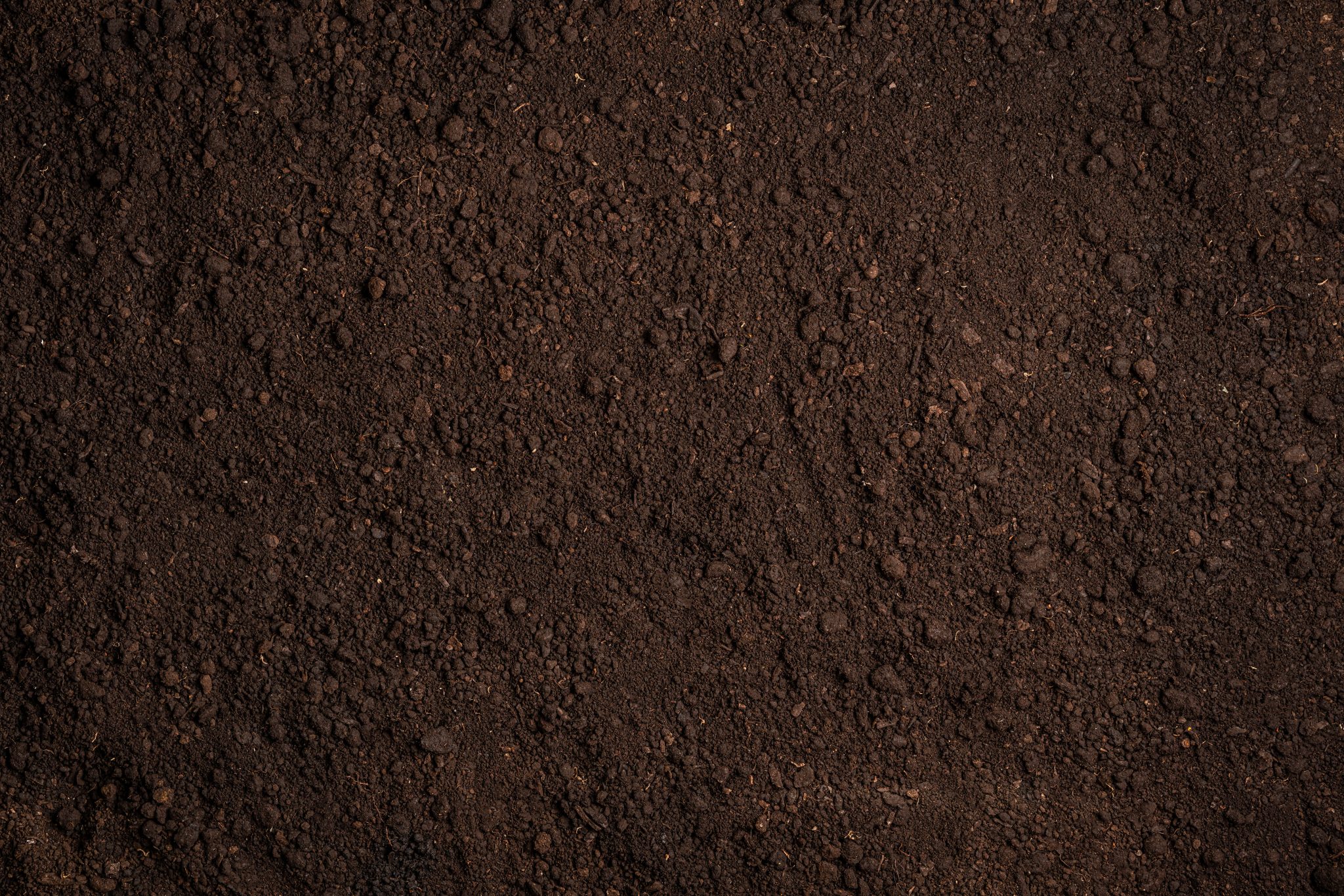 Top Soil - Longo Landscape